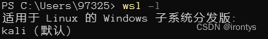 记一次配置kali-linux for wsl_wsl kali-CSDN博客