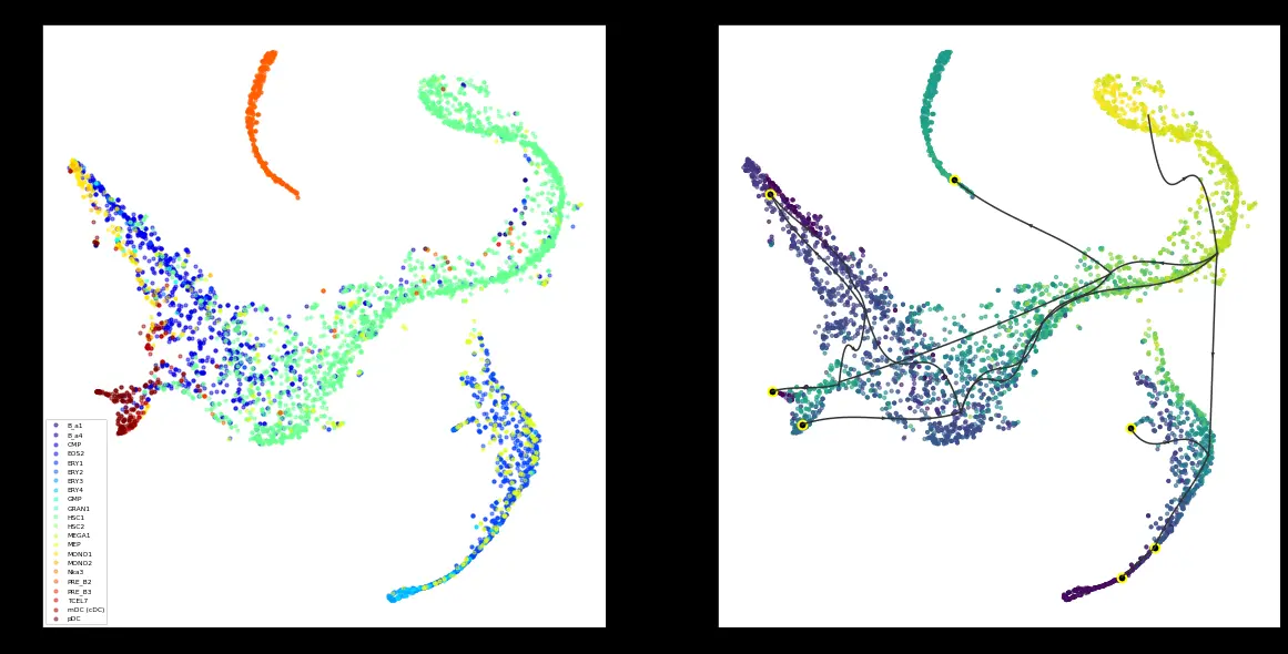 单细胞数据拟时分析之VIA（我的优势你们比不了）_pyvia-CSDN博客