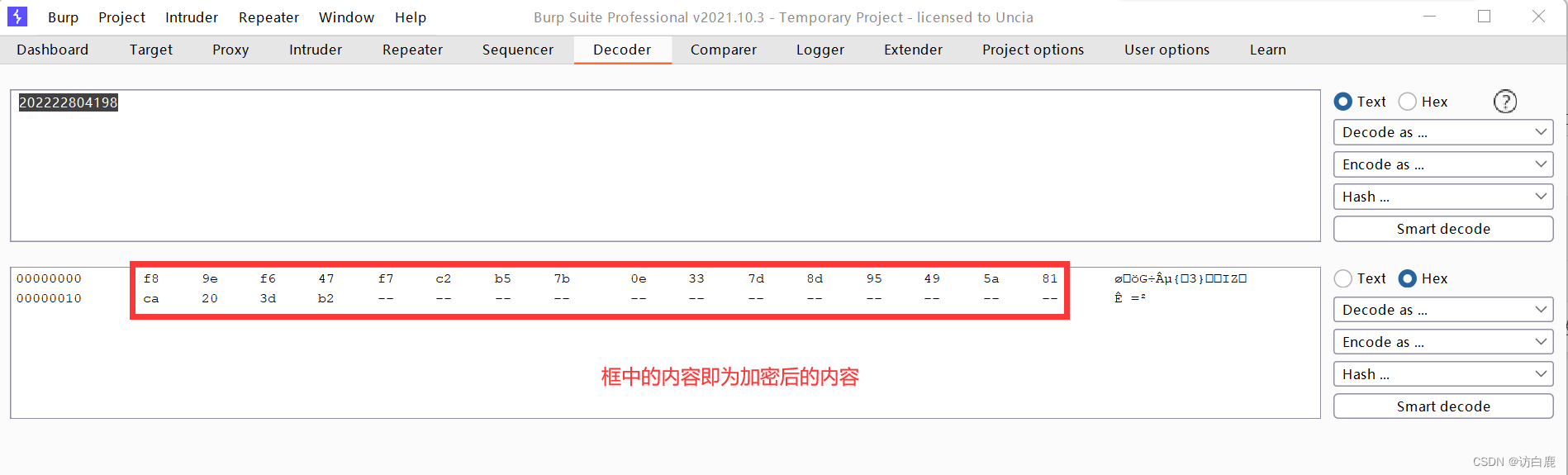 kali/windows/burpsuite/Python下计算md5，sha1，sha256，base64的值_kali md5解密-CSDN博客