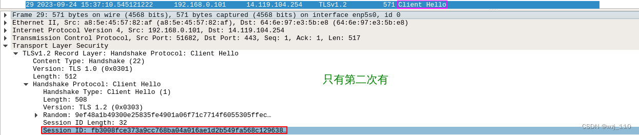 TLS/SSL(十) session缓存、ticket 票据、TLS 1.3的0-RTT_tls session ticket-CSDN博客