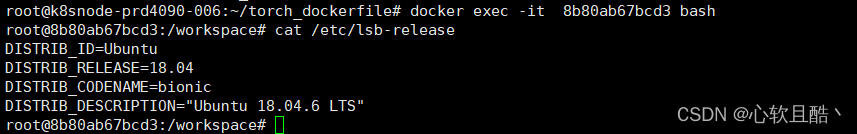 Dockerfile封装制作pytorch（tensorflow）深度学习框架 + jupyterlab服务 + ssh服务镜像_docker pytorch-CSDN博客