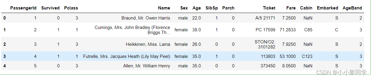 python-数据清洗及特征处理_python_黎小强同学-魔乐社区