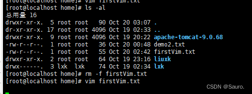 Linux编辑文件时，提示.swp文件已存在怎么办？_交换文件已存在-CSDN博客