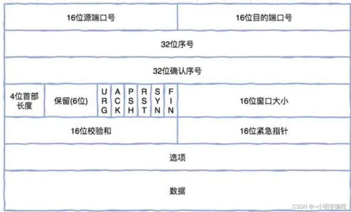 网络传输详解：TCP,UDP,XML,JSON与Protobuf-CSDN博客