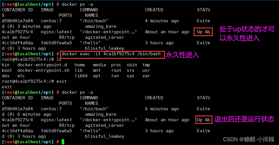 Docker：（三）docker镜像与容器基本的基本操作_docker images grep-CSDN博客