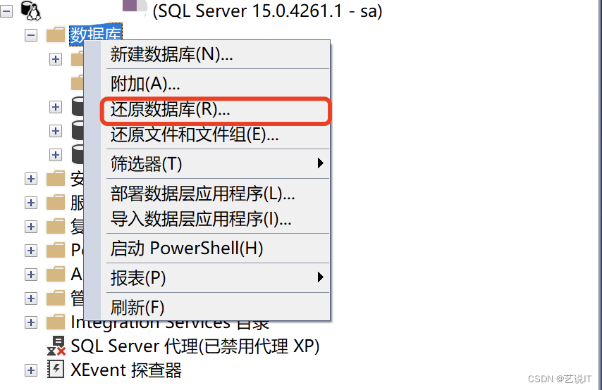 python实战-连接SQL Server导出所有数据库、表的前一百条数据(内含源码)_sql取前100条数据-CSDN博客