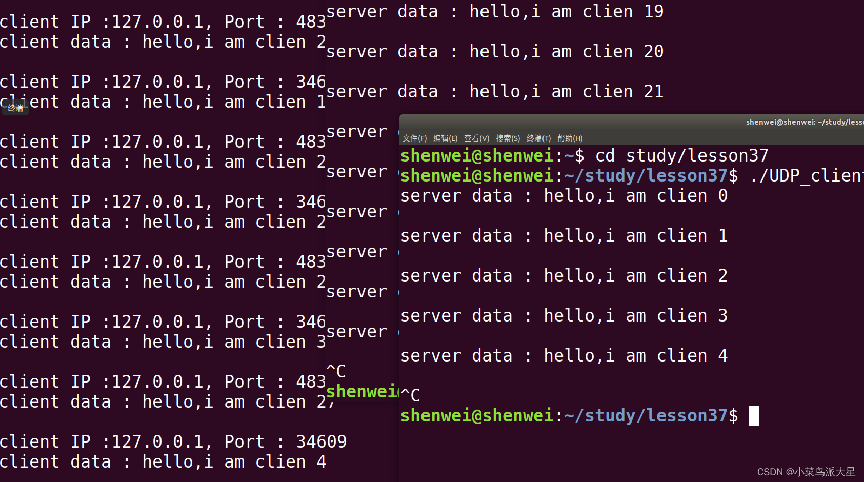 Linux程序设计之udp通信linux Udp应用程序 Csdn博客