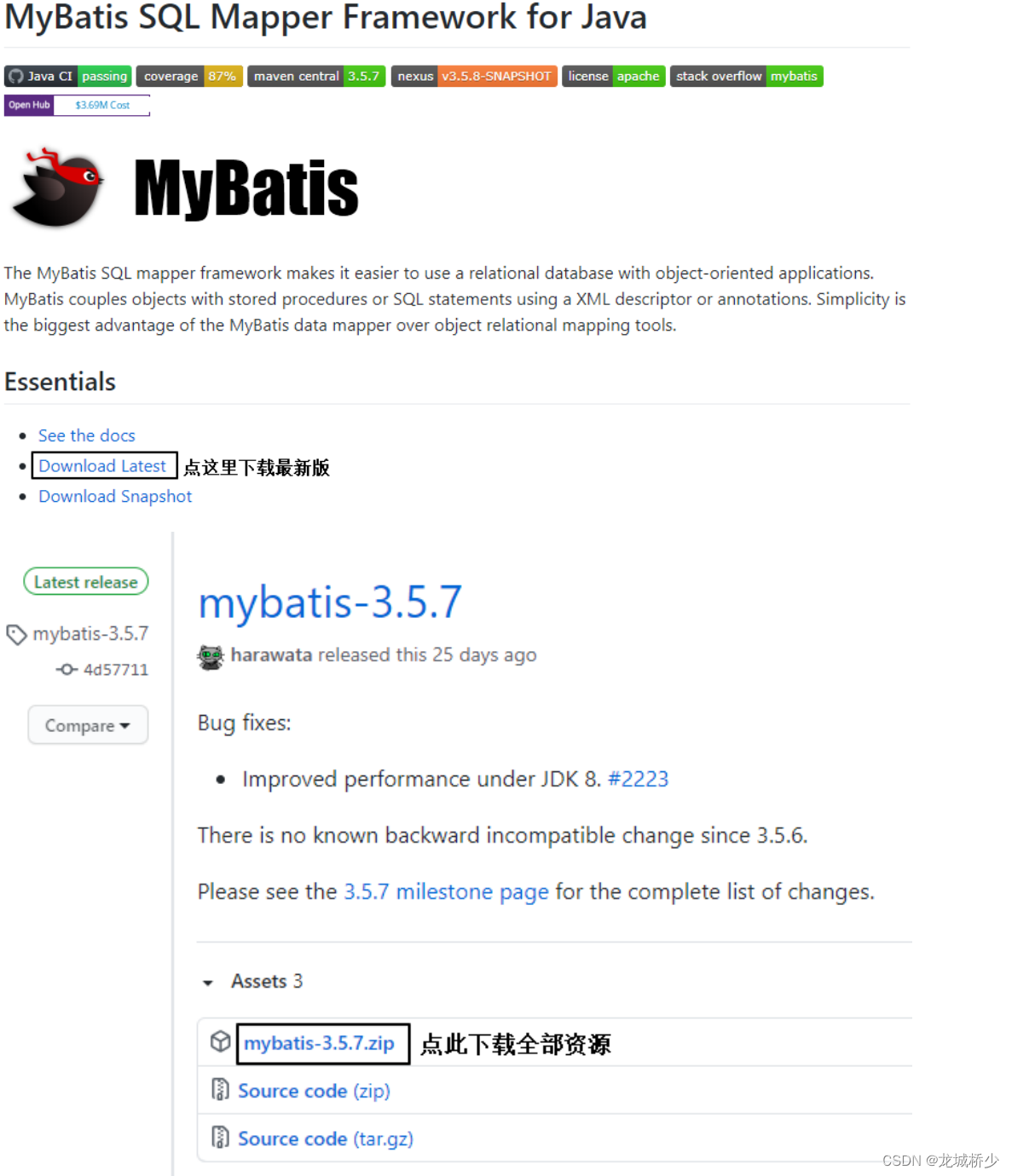 学习MyBatis，看这一篇就够了！_mybatis 定制化-CSDN博客