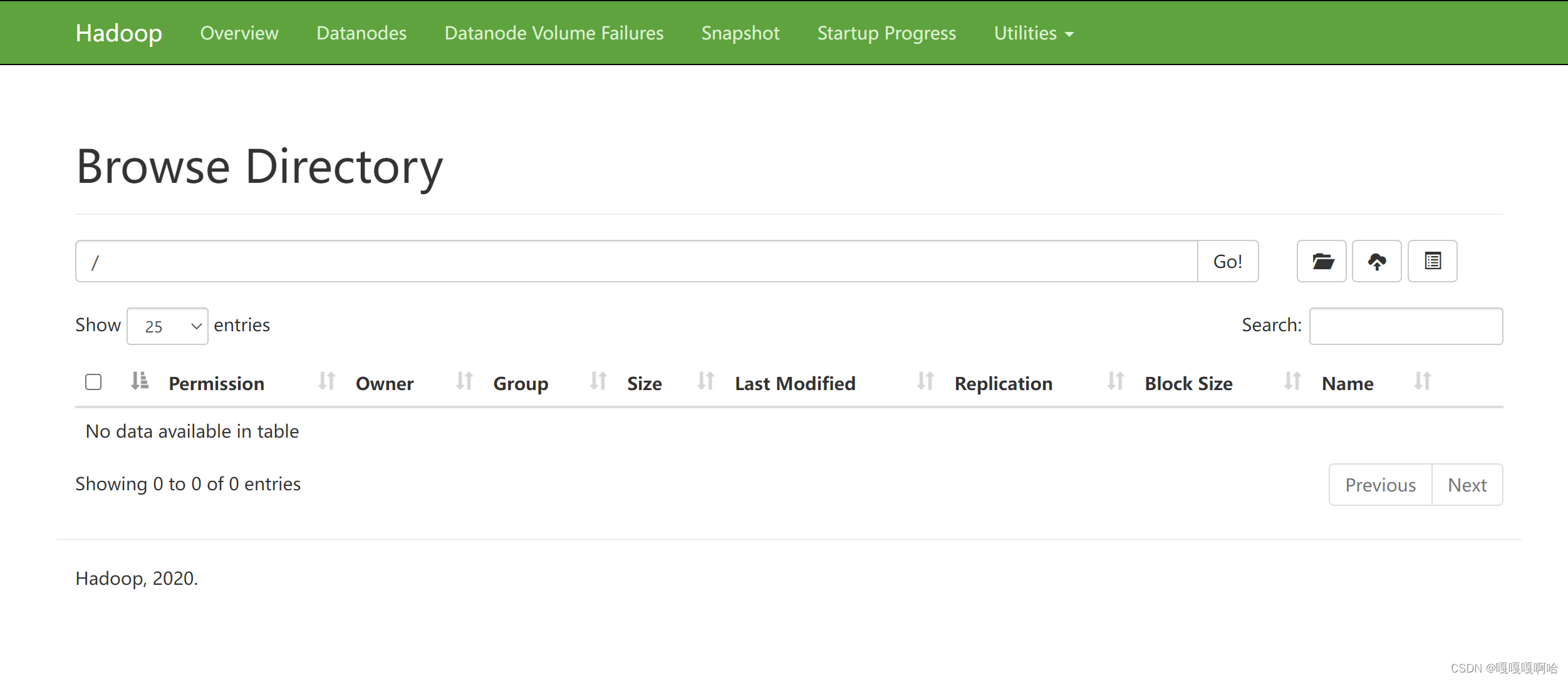 关于hadoop的Cannot set priority of datanode process-CSDN博客