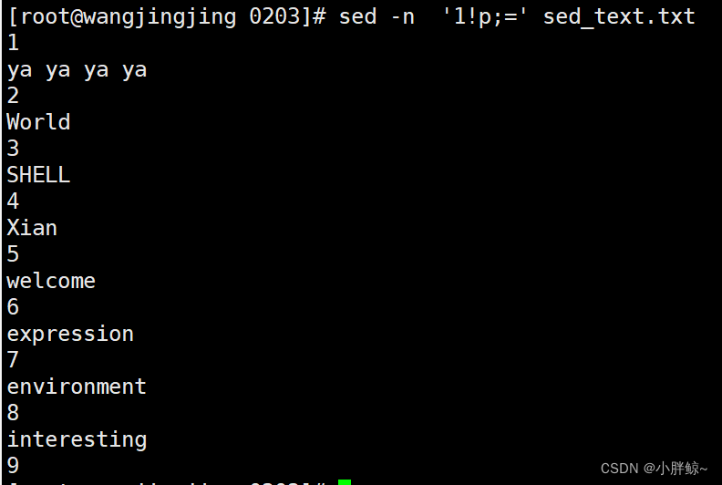 shell sed详解-CSDN博客