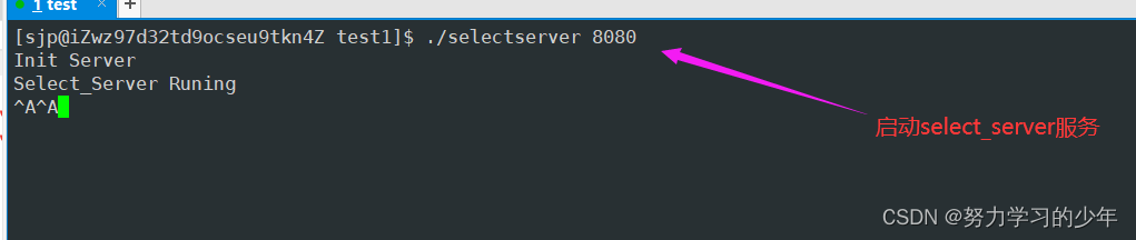【Linux】——select详解_linux select-CSDN博客
