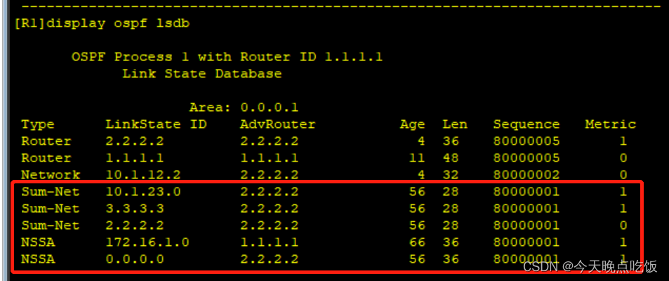 OSPF中Stub、完全Stub、NSSA、完全NSSA区域-CSDN博客