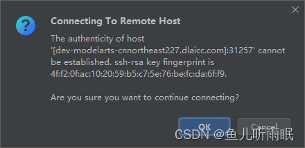 【保姆级教程】PyCharm通过SSH远程连接ModelArts_pycharm ssh-CSDN博客