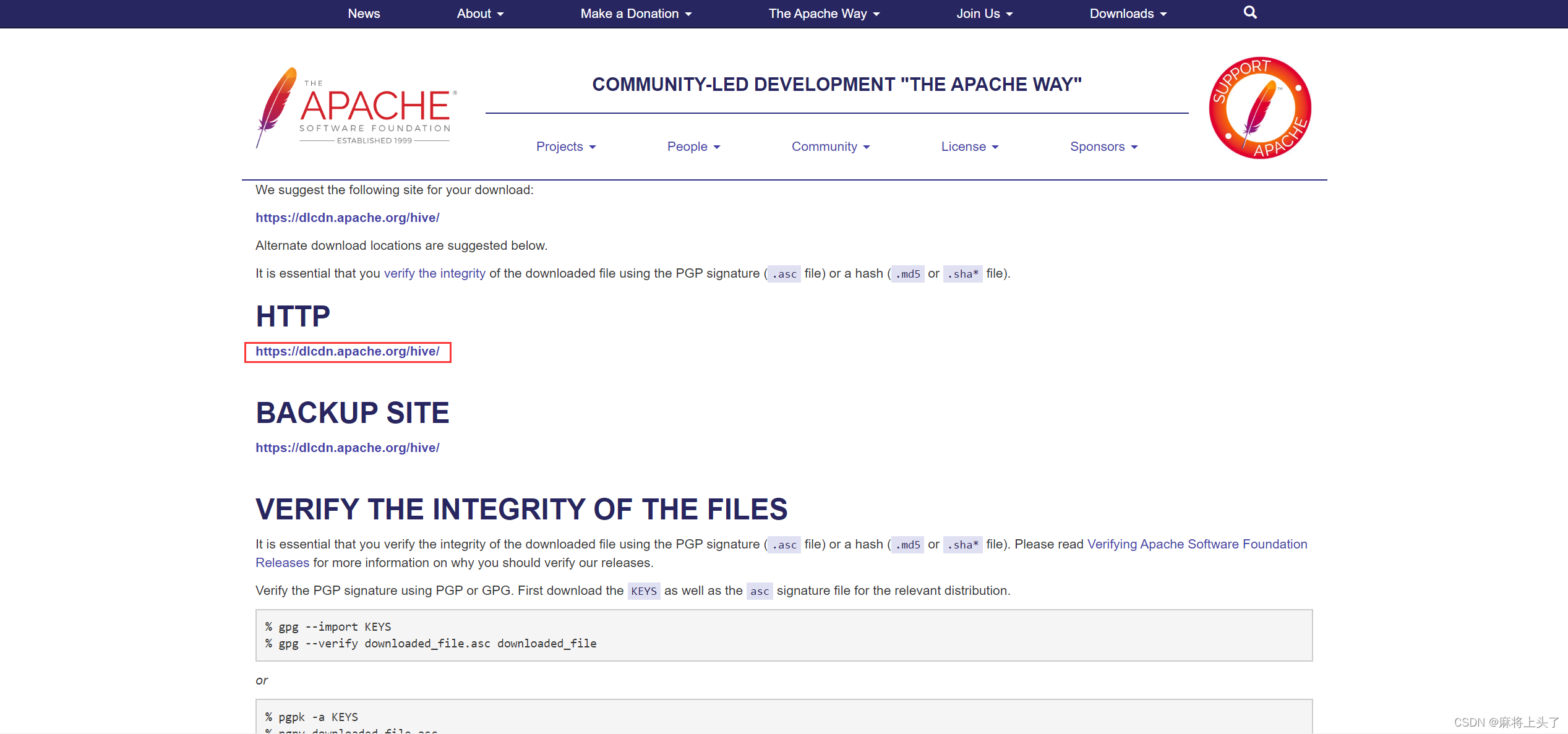 Hive数据库安装教程_apache-hive-2.3.9-bin.tar.gz-CSDN博客