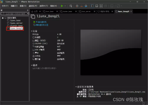VMware安装linux_VMware Workstation自定义网络配置-CSDN博客