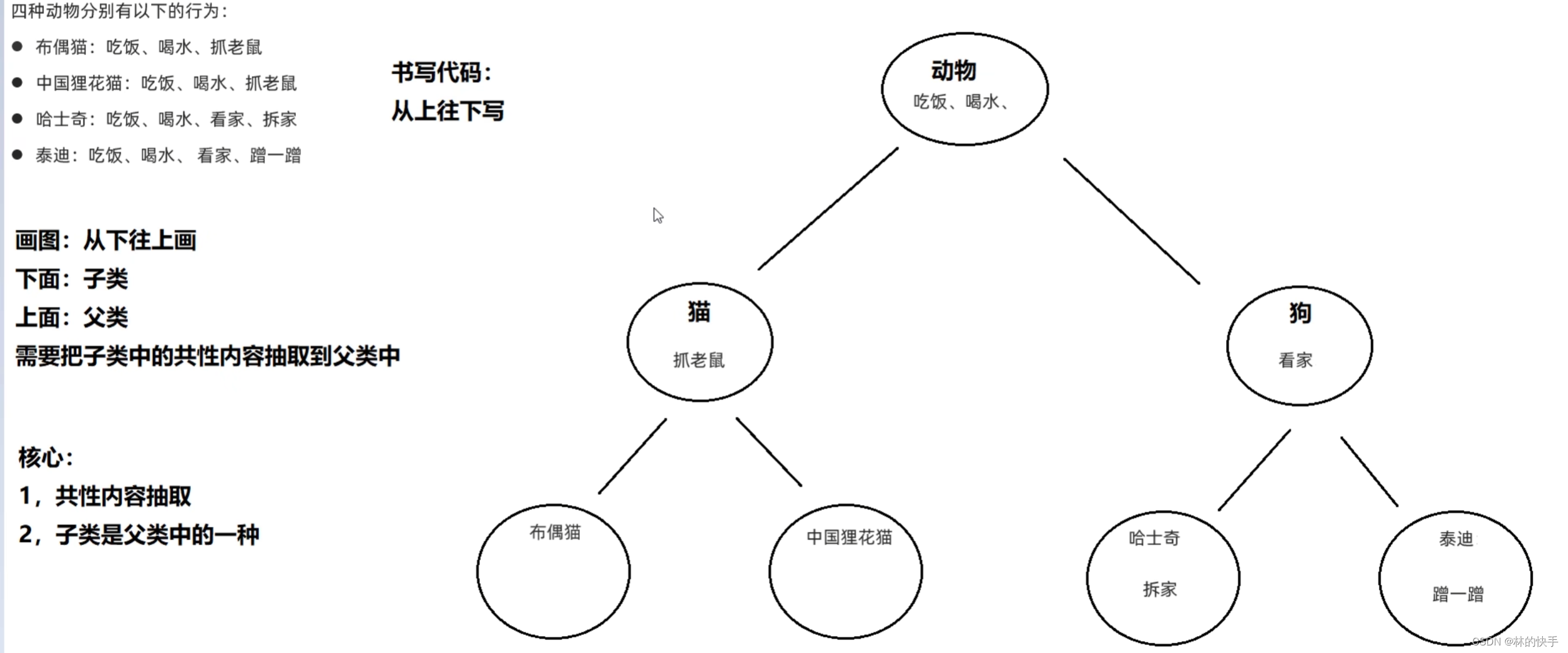 面向对象进阶 继承 Java继承（超详解） Java中关于继承知识点的ppt Csdn博客