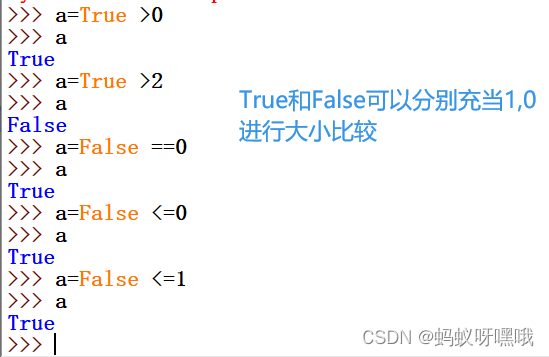True/False值大小及其加减乘除计算_false