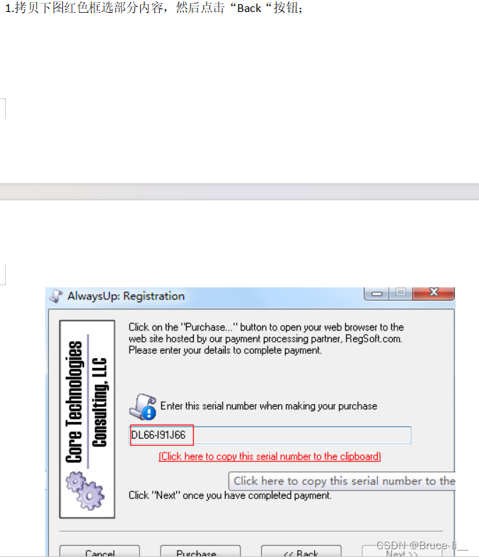 Alwaysup安装和使用-CSDN博客