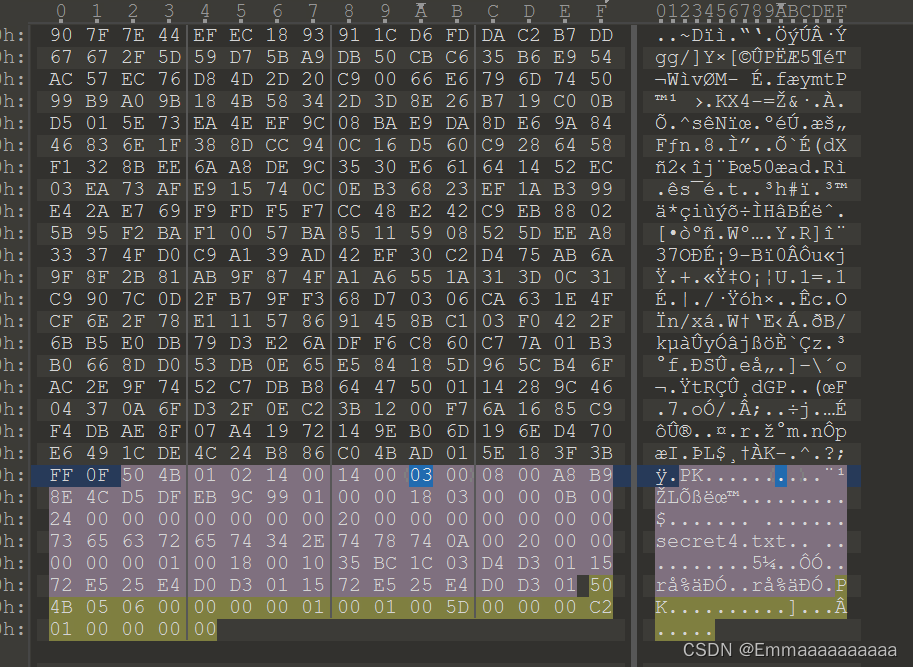 buu [AFCTF2018]花开藏宝地 1_[afctf2018]base 1-CSDN博客