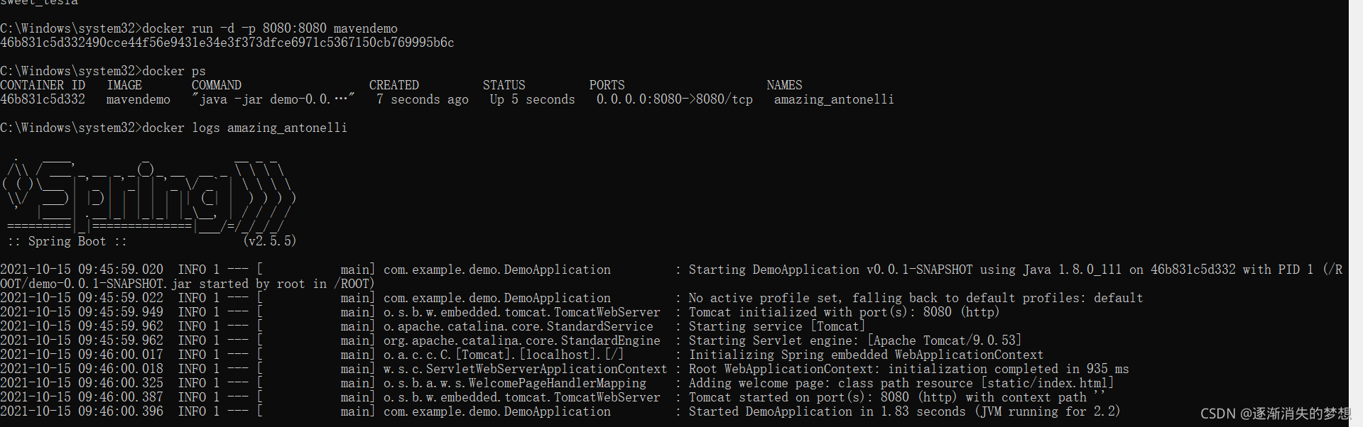 docker-maven-plugin 使用-CSDN博客