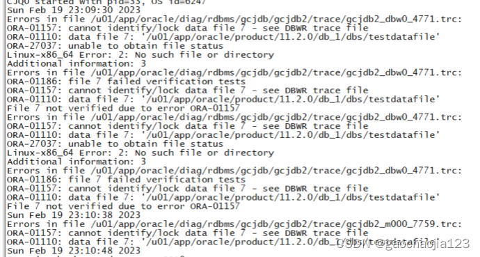 Oracle 11g Rac误将数据文件添加到本地文件系统的报错处理oracle 11g Rac 添加文件到本地 Csdn博客