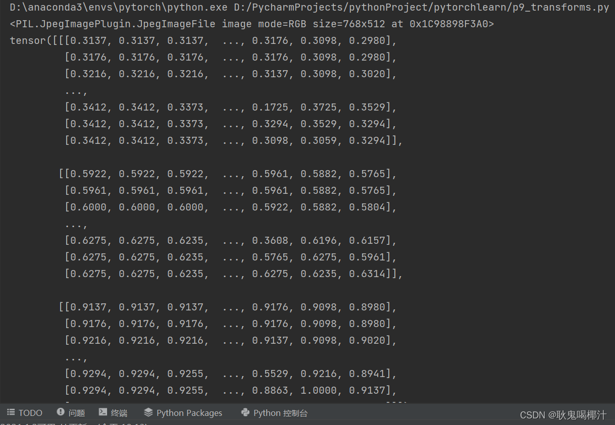 【我是土堆 - Pytorch教程】 知识点 学习总结笔记（二）-CSDN博客