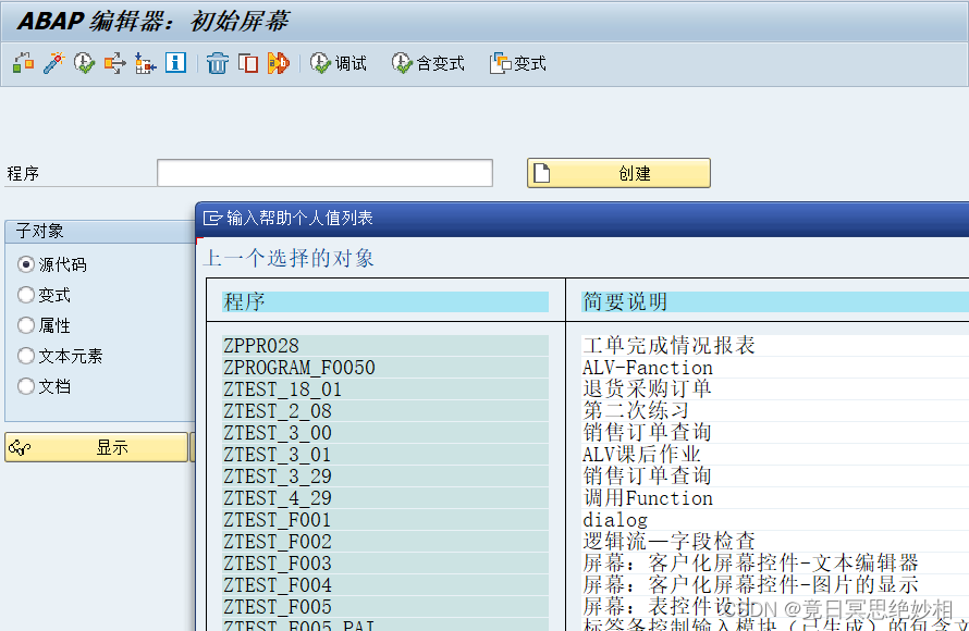 ABAP入门指南-CSDN博客