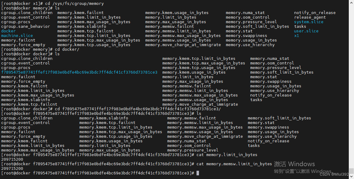 Cgroups与容器资源管理：CPU、内存、磁盘I/O和权限优化-CSDN博客