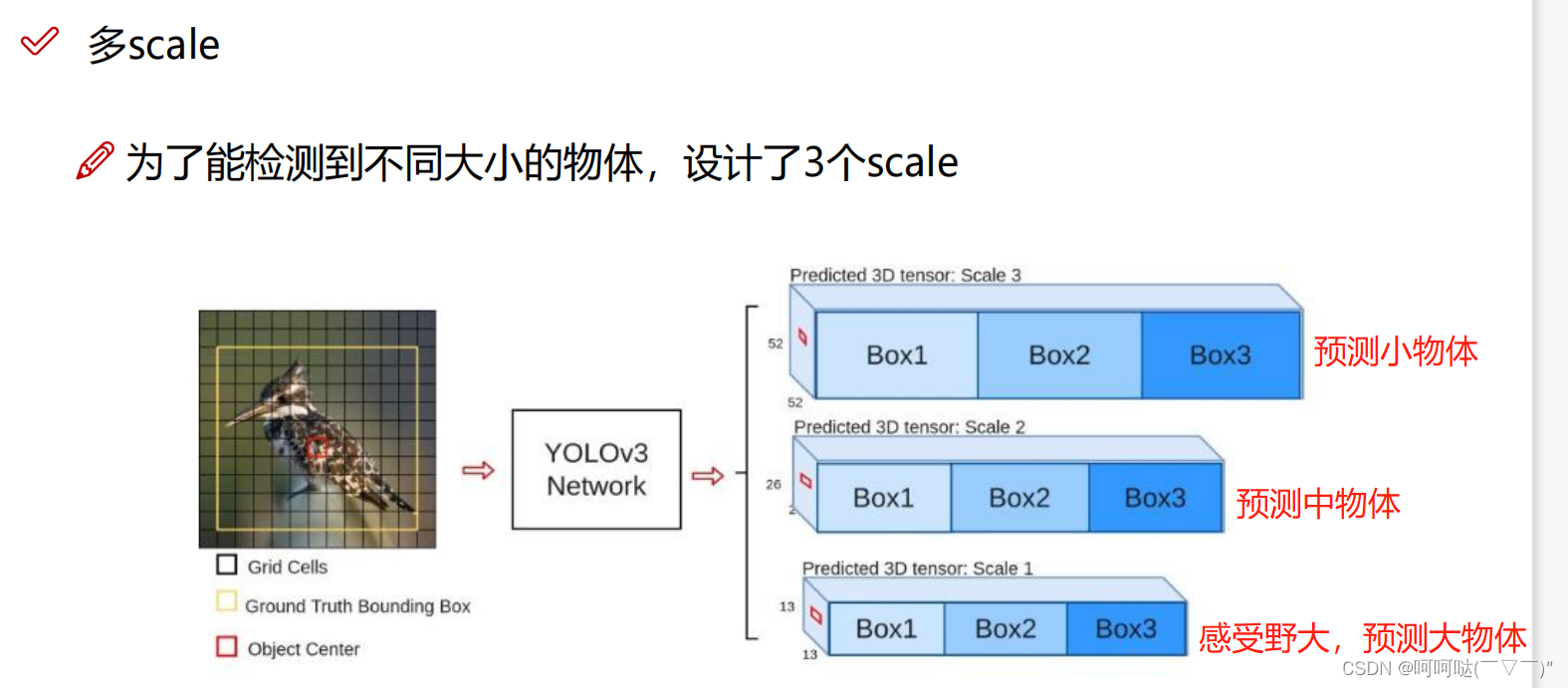 YOLO系列：从v1到v3的演进与改进-CSDN博客