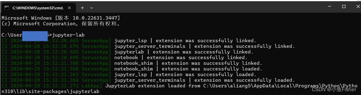 安装库后JupyterLab一直报ModuleNotFoundError问题解决_modulenotfounderror: no module named 'jupyterlab-CSDN博客