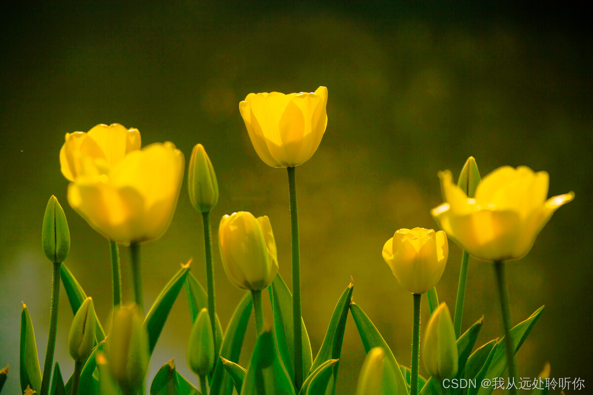 在spark集群运行scala程序报错 Scala signature package has wrong version expected: 5.0_error:scalac: error ...