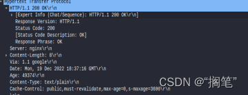 TCP/UDP/ARP/DNS/HTTP/帧的包头解析（保姆级分析）_tcp包头-CSDN博客