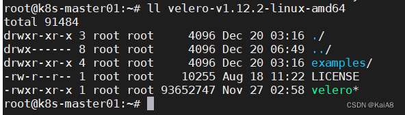 使用Velero备份K8S资源，看这篇干货就够了-CSDN博客
