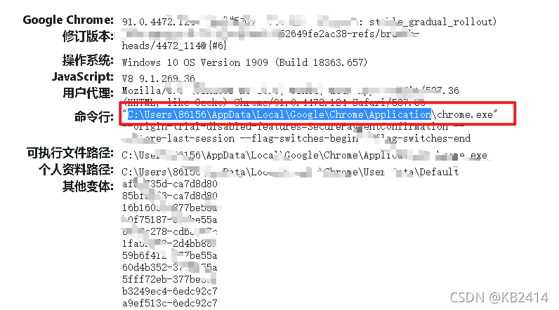 错误记录：selenium.common.exceptions.WebDriverException: Message ...