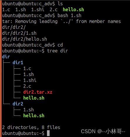 c高级day2-CSDN博客