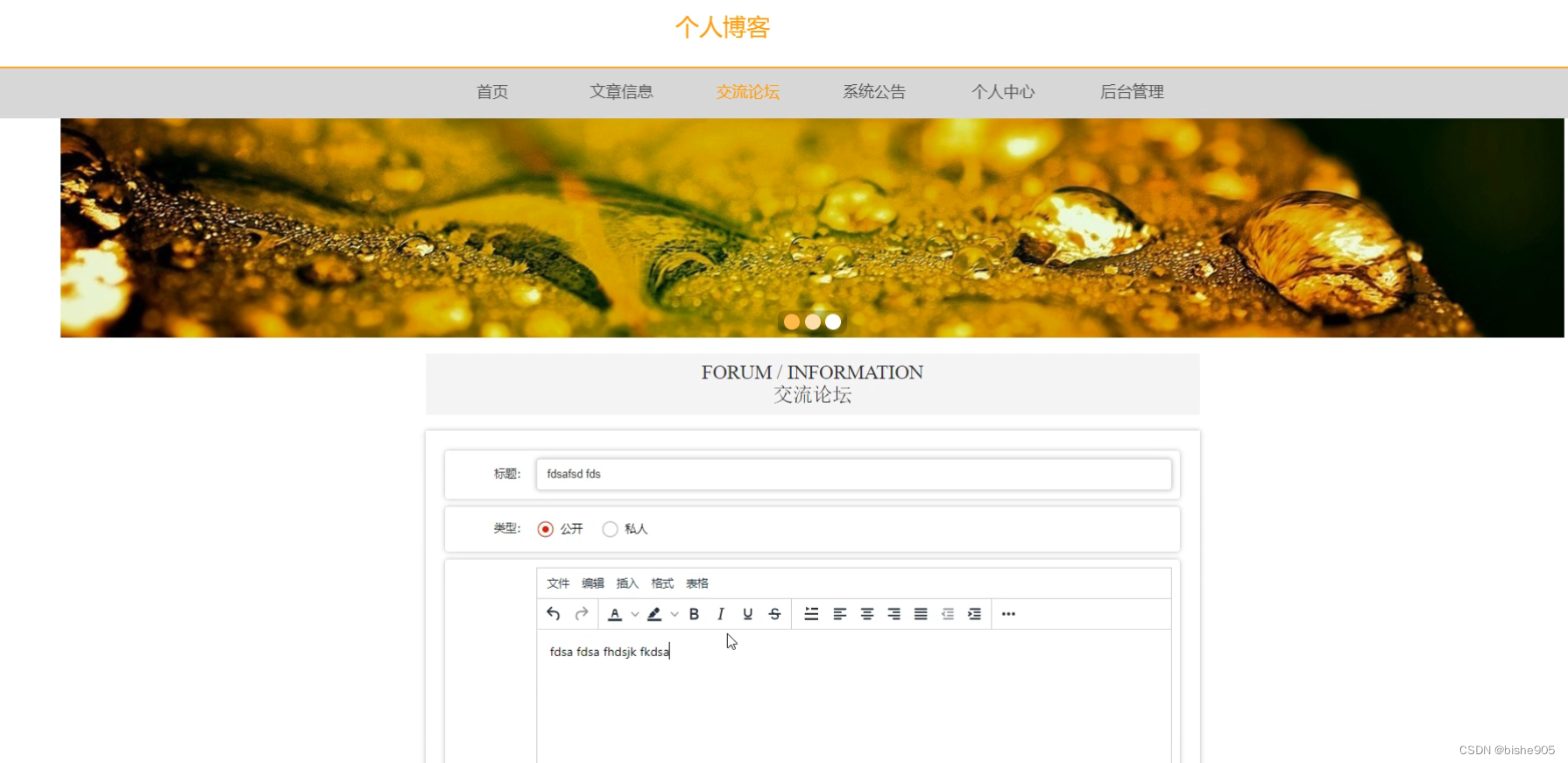 Java计算机毕业设计个人博客(附源码、数据库)java个人博客数据库设计 Csdn博客