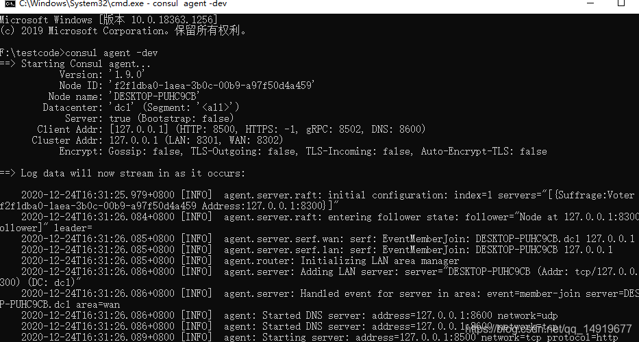 Windows环境下consul的使用_windows consul-CSDN博客