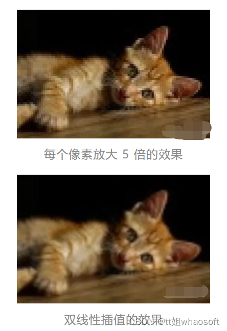 Taichi 加速 Python 中图像处理_python taichi-CSDN博客