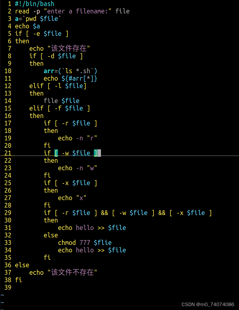 c高级day5-CSDN博客
