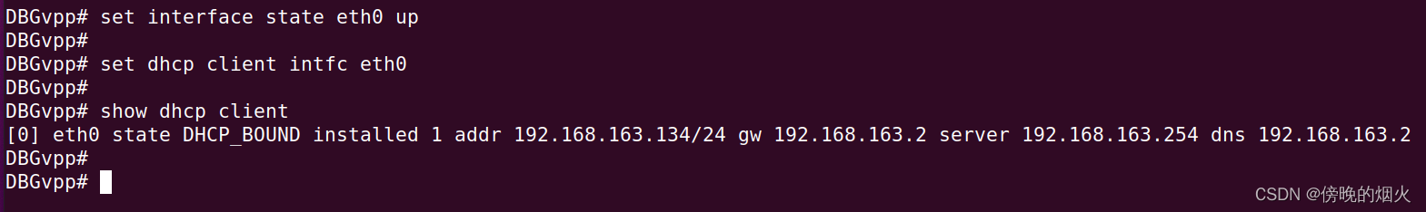 VPP 接管网卡，访问外网_vpp启动网卡-CSDN博客