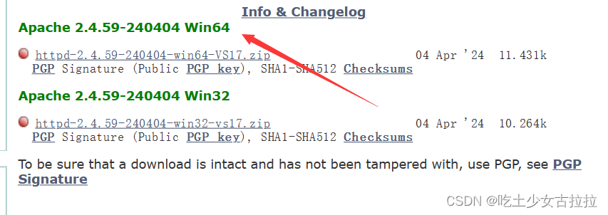 windows环境下安装Apache_window apache修改服务路径-CSDN博客
