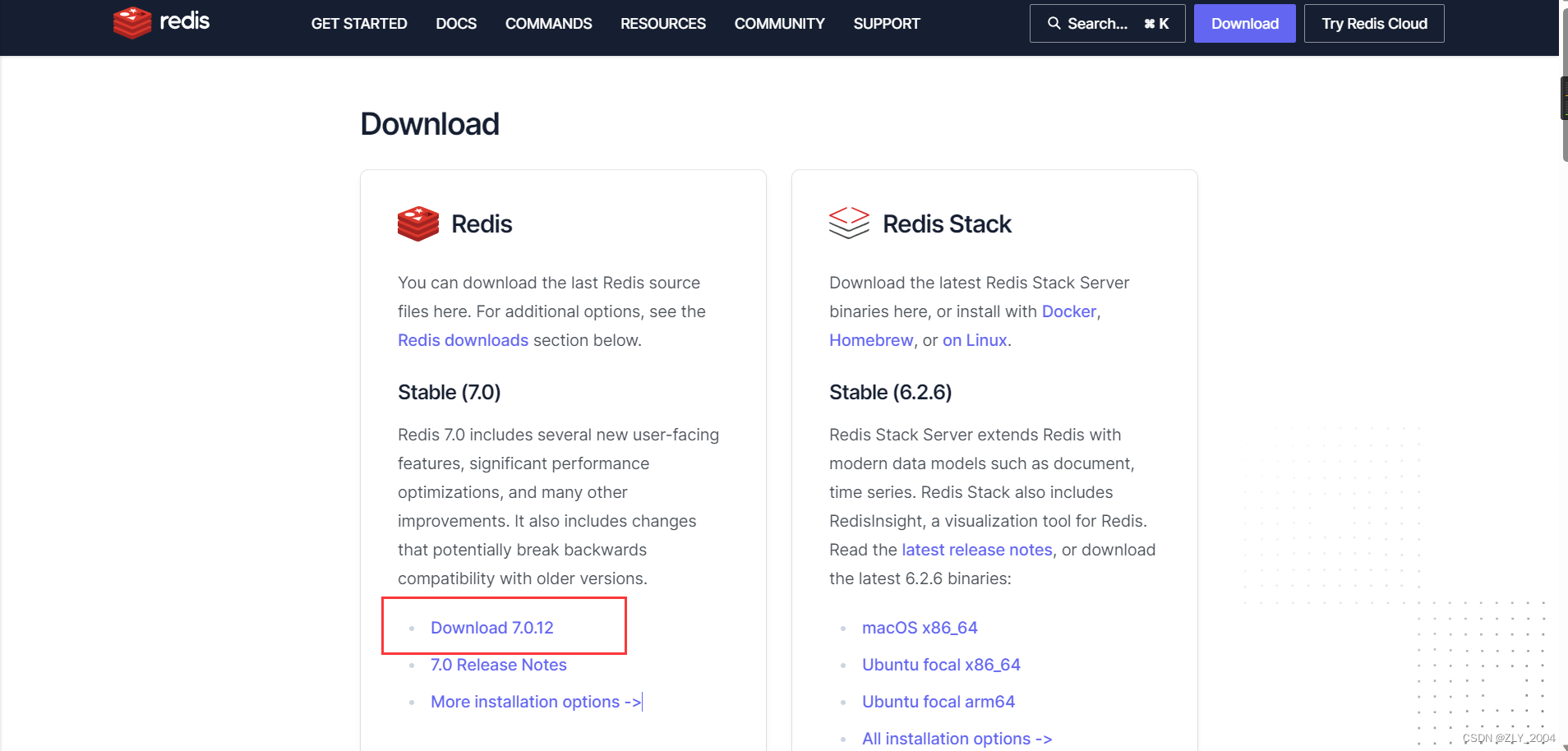 redis专栏2 安装redis-CSDN博客