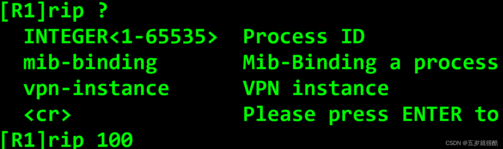 RIP动态网络协议基础知识_rip network-CSDN博客
