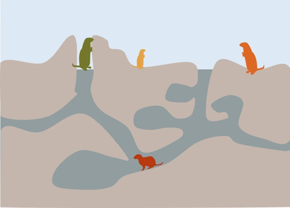 【智能优化算法】土拨鼠优化算法（Prairie Dog Optimization Algorithm，PDO）-CSDN博客