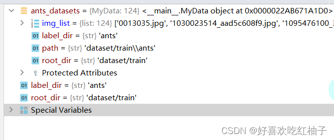 pytorch初学笔记（一）：如何加载数据和Dataset实战_python dataset-CSDN博客