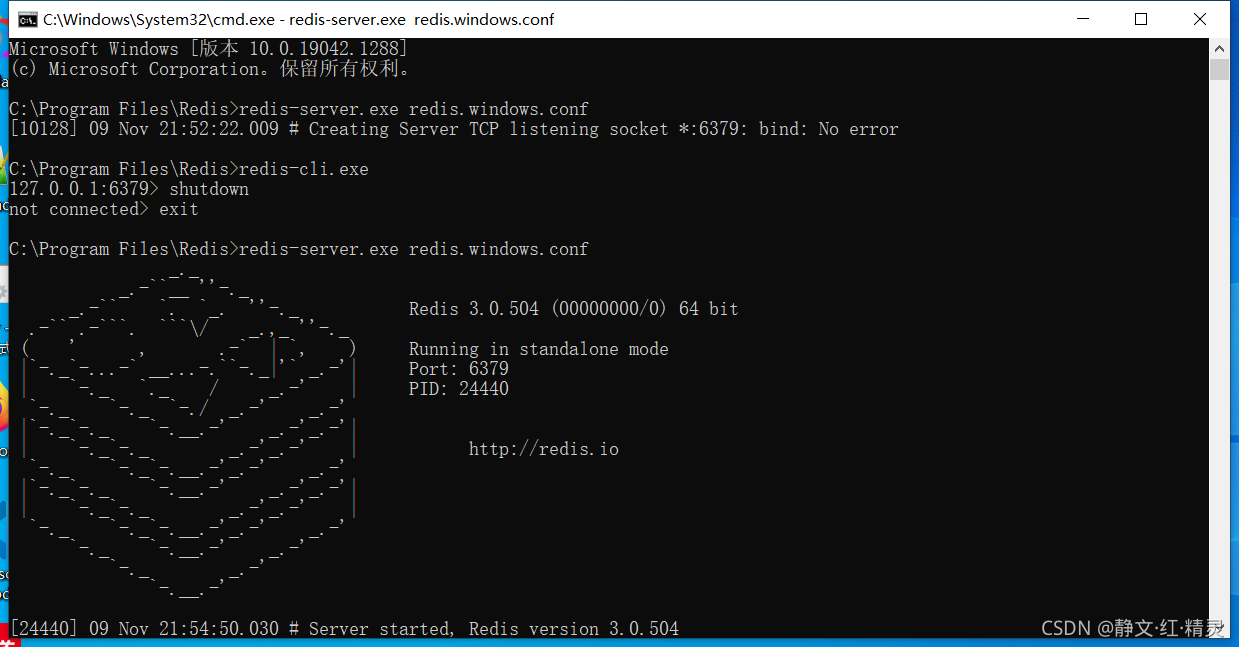 Redis启动时报错：Creating Server TCP listening socket *:6379: bind: No error_creating server tcp ...