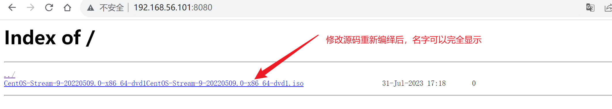 Nginx解决文件服务器文件名显示不全的问题nginx Autoindex On 取消文件名超长隐藏 Csdn博客