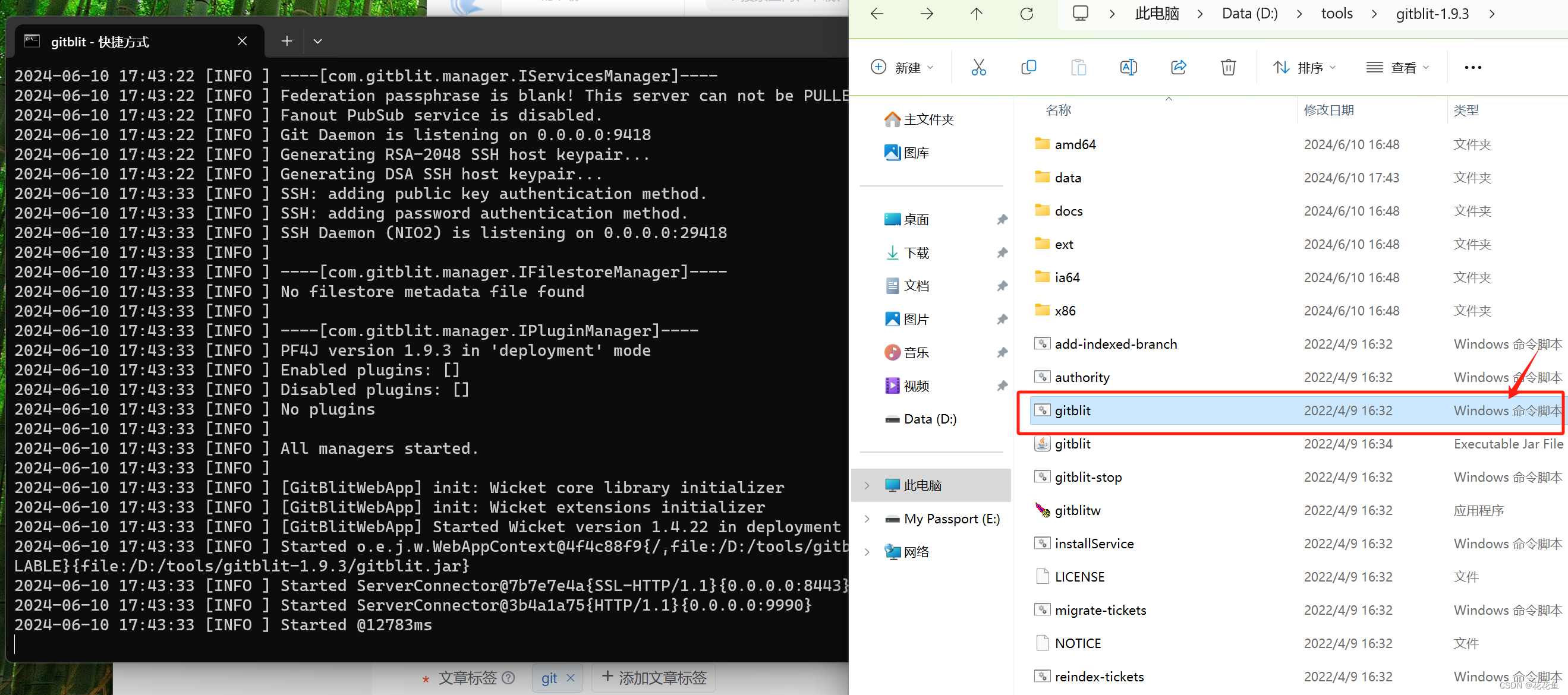 git服务器gitblit安装_gitblit安装教程-CSDN博客