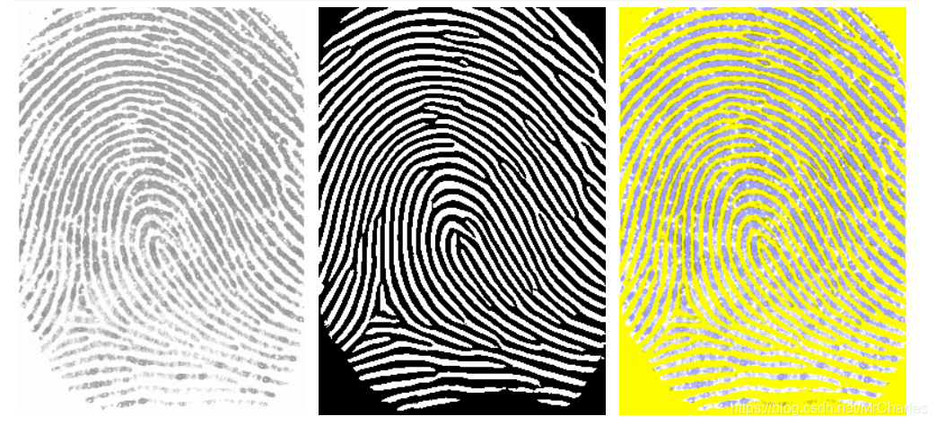 2021wsb Day2 4 Raffaele教授演示利用opencv和python实现一个指纹识别系统 含代码 Part4指纹脊线图 Python Csdn博客