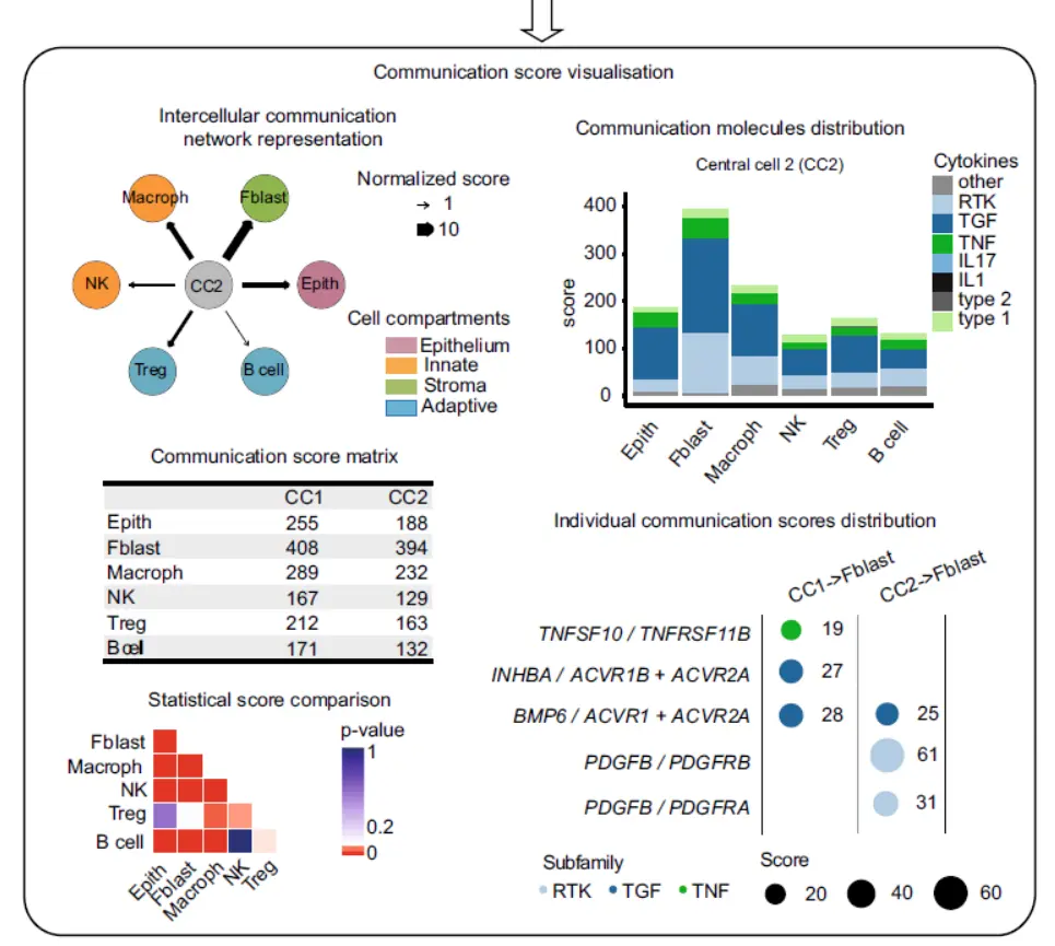 10X单细胞通讯分析之ICELLNET-CSDN博客